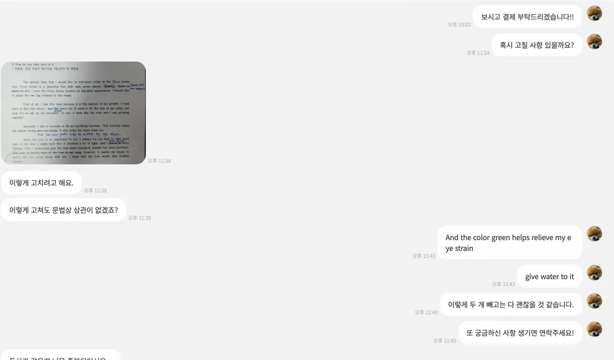 영어 수행평가 및 글쓰기 첨삭 마켓 서비스 커머스 숨고 숨은고수