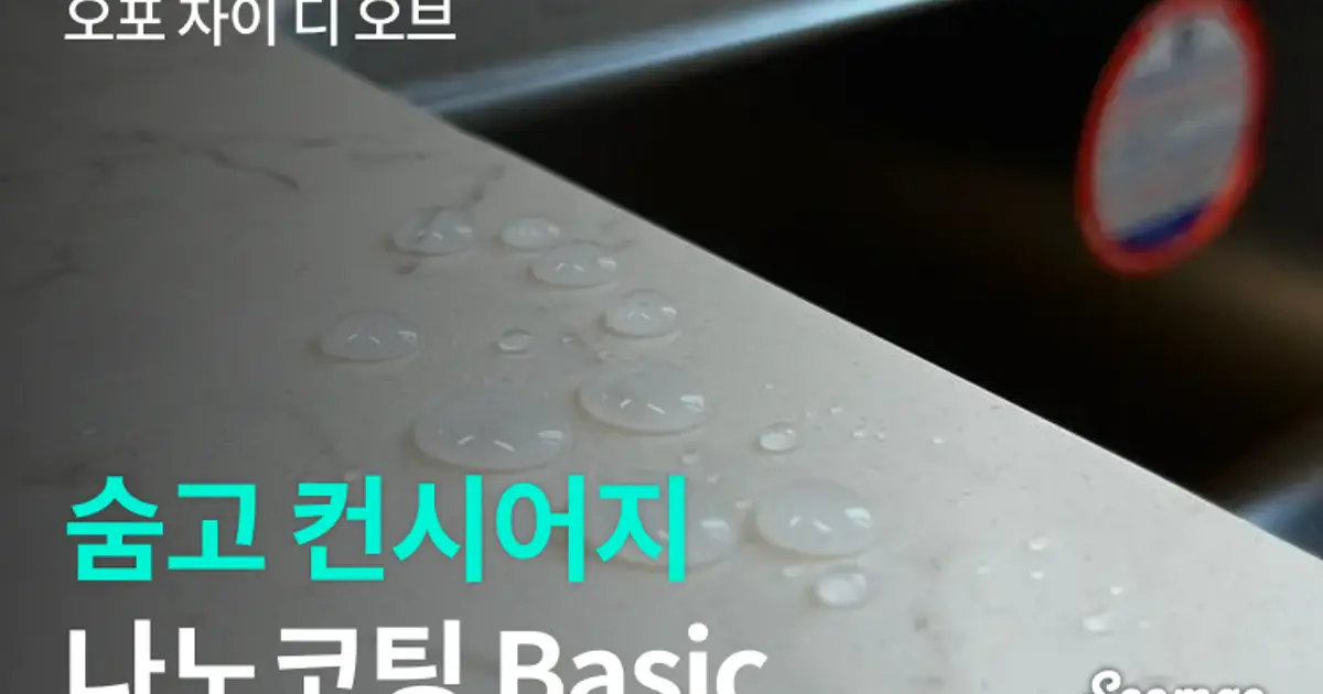 숨고 입주박람회 나노코팅 시공 Basic 마켓 서비스 커머스 숨고 숨은고수