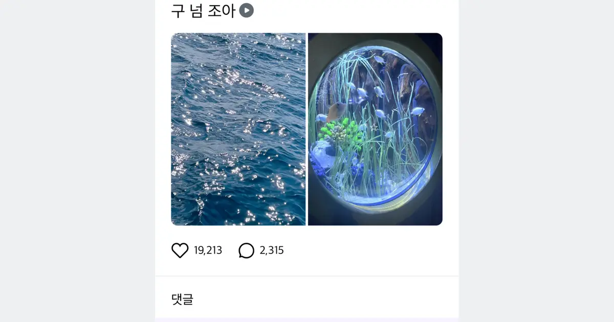 글로벌 커뮤니티 네이티브 앱 서비스 기획 제나로 숨고 숨은고수
