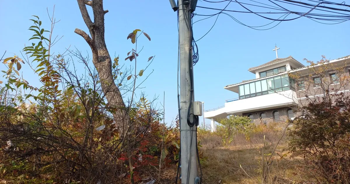 전신주투광등설치 장태형 숨고 숨은고수