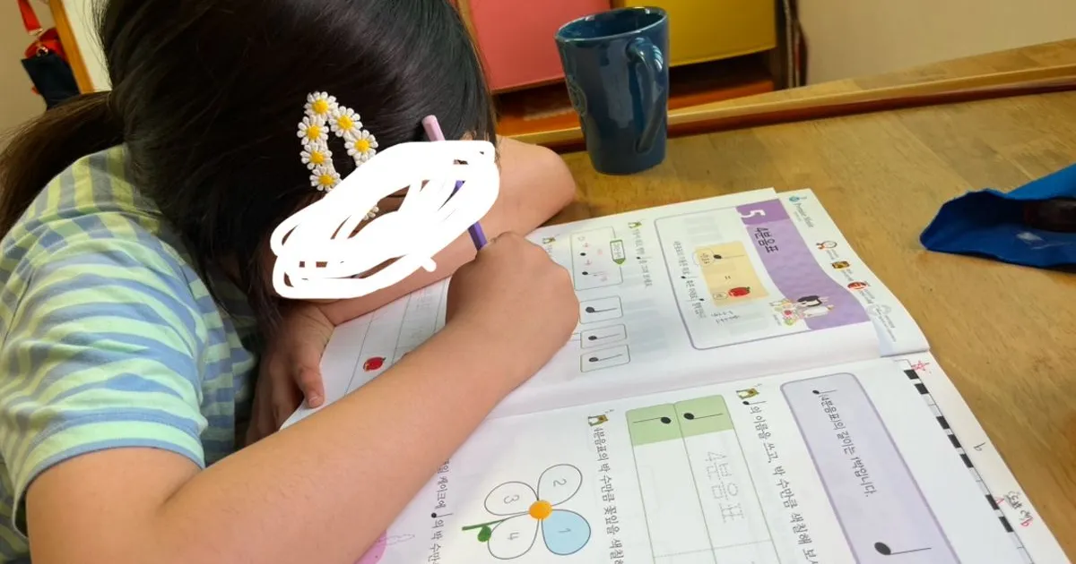 이론수업 병행 ️ 참기쁨첼로쌤 숨고 숨은고수