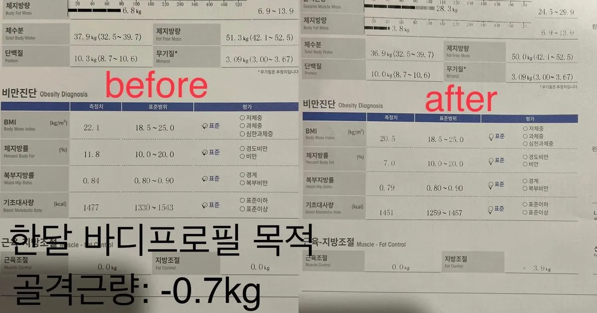 한달 바디프로필반 인바디 변화 정현동 숨고 숨은고수