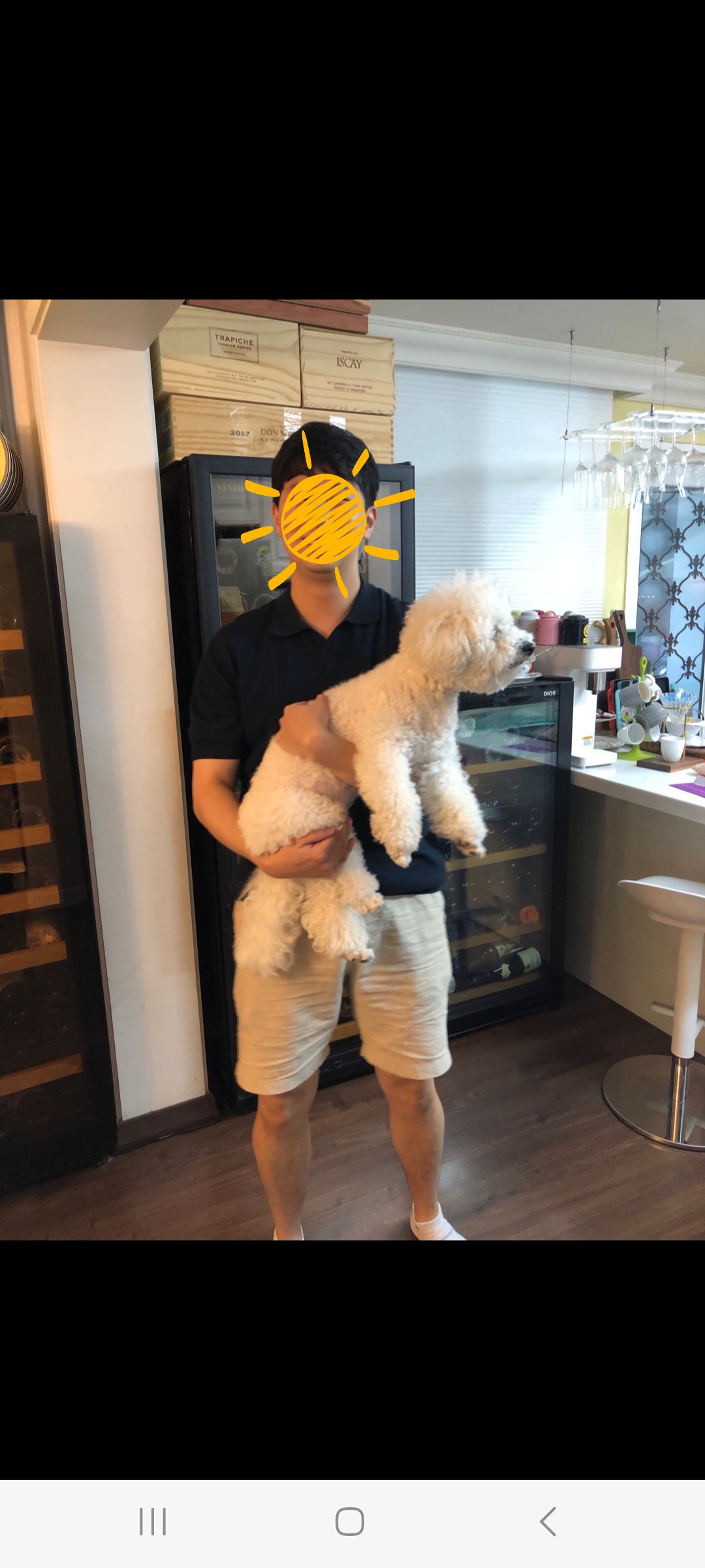 지인 강아지 펫시팅 및 산책 이승재 숨고 숨은고수