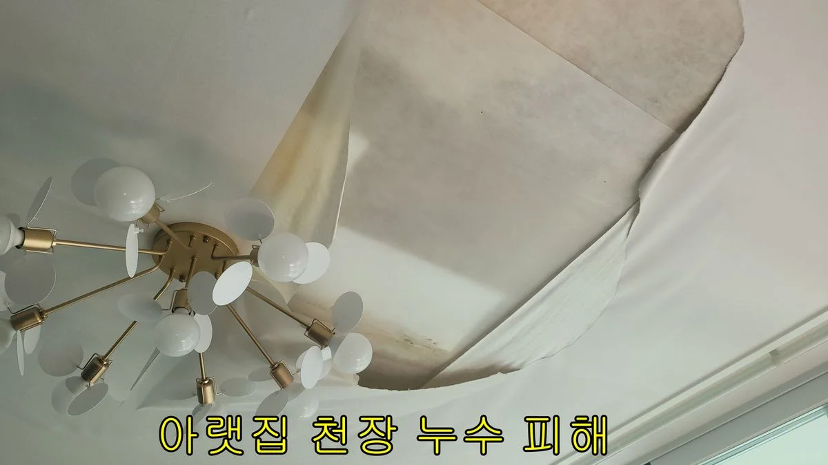 아파트 온수배관 누수탐지 김영국 숨고 숨은고수
