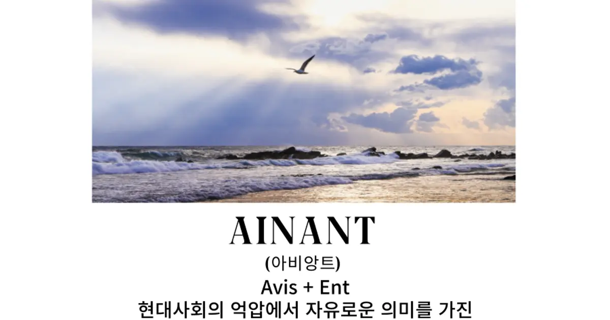 여성 뷰티 브랜드 브랜도트 숨고 숨은고수