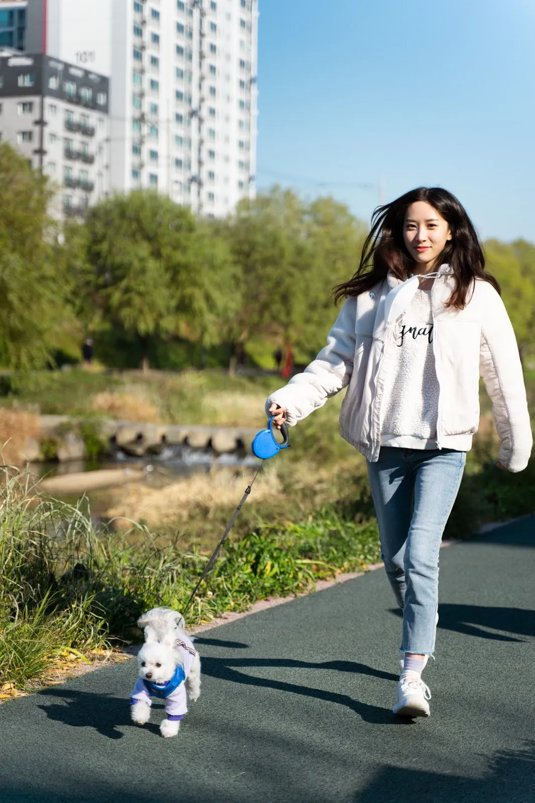 애견스냅불광천 집사포토 숨고 숨은고수