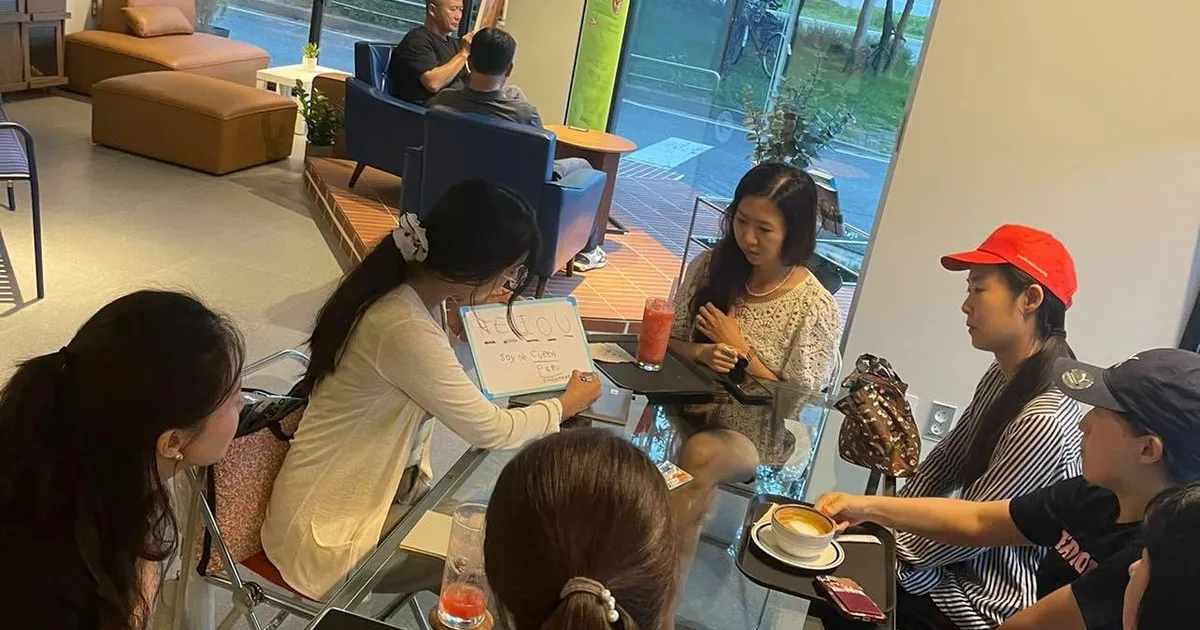 그룹 스페인어 과외 초급 체리쌤 숨고 숨은고수