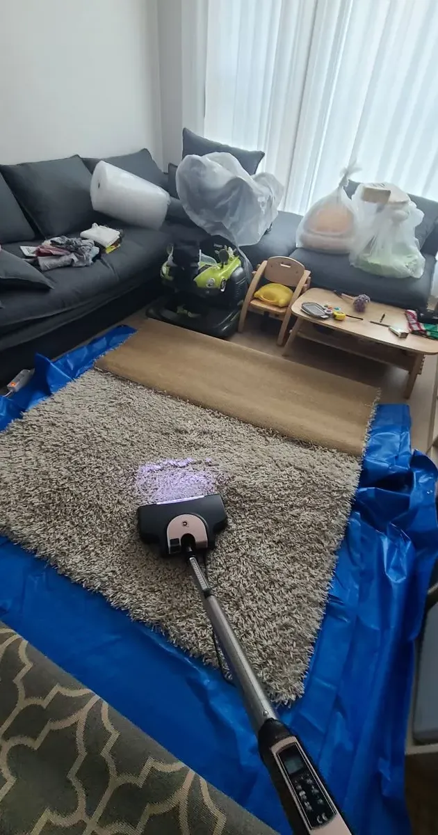카페트 및 러그 건식and습식케어 비치움그린홈케어 숨고 숨은고수