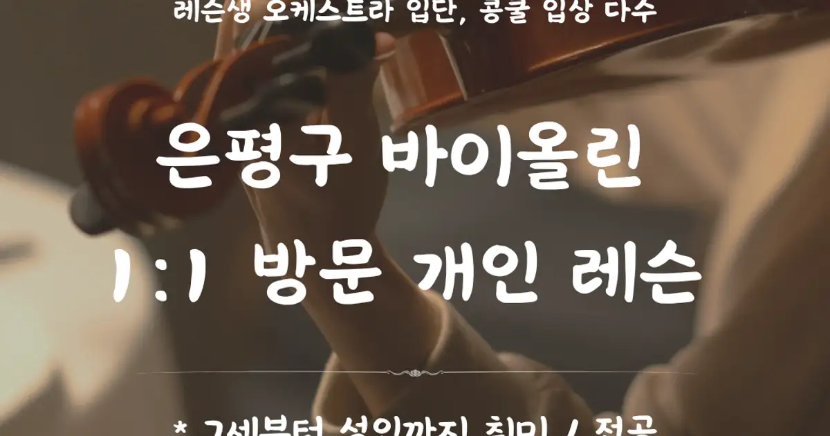 은평구 바이올린 레슨 에스 바이올린 숨고 숨은고수