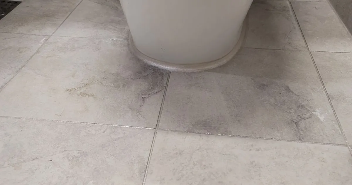 개포 프레지던스자이 Wc줄눈 White Clean 숨고 숨은고수