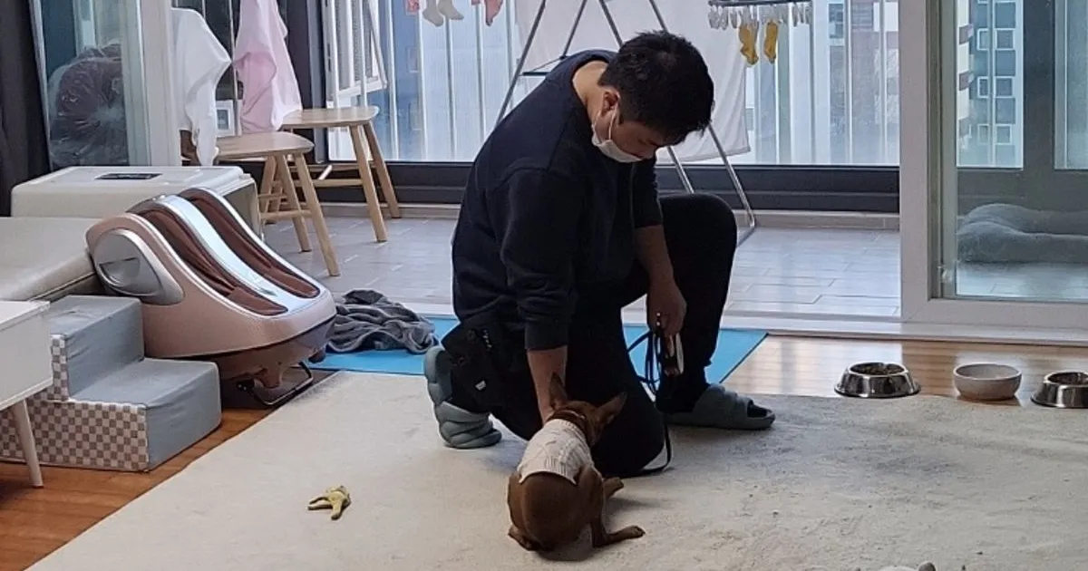 낯선 사람 사회화 교육 오윤성 숨고 숨은고수