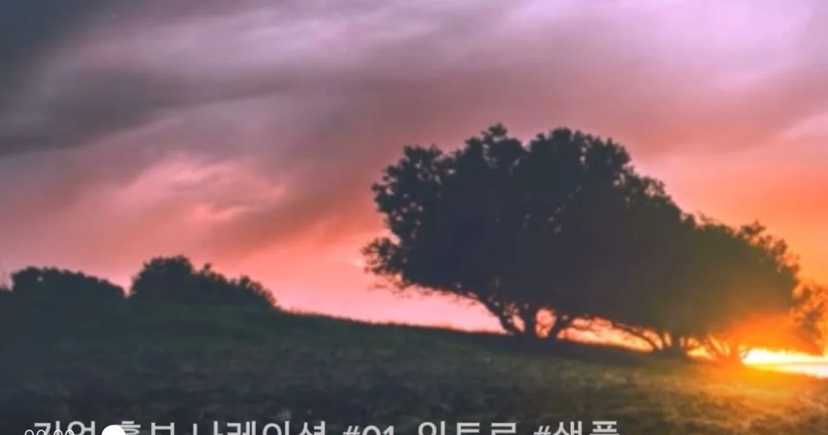 기업 홍보 나레이션 정지찬 숨고 숨은고수