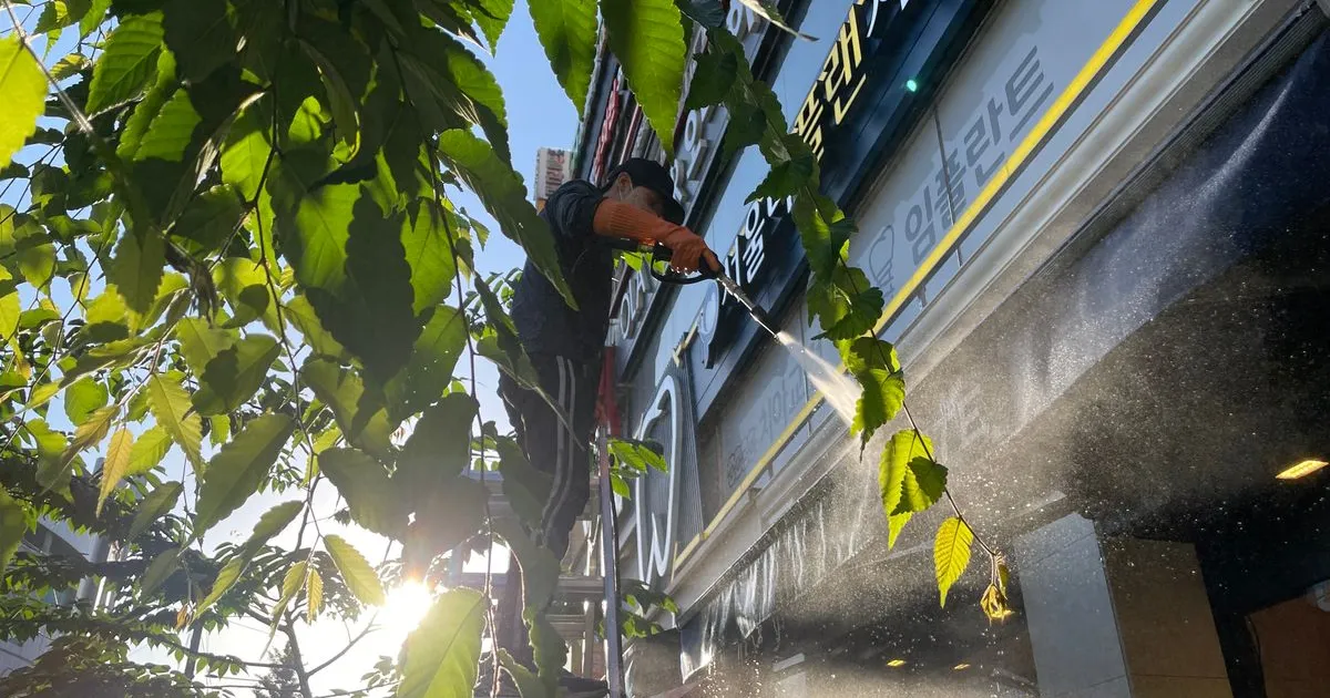 노원 파리바게트 간판 어닝청소 클린 Id 숨고 숨은고수
