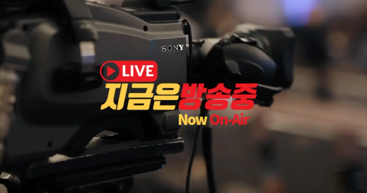 유튜브생중계 사내행사 강영은 지금은방송중 박정우 숨고 숨은고수
