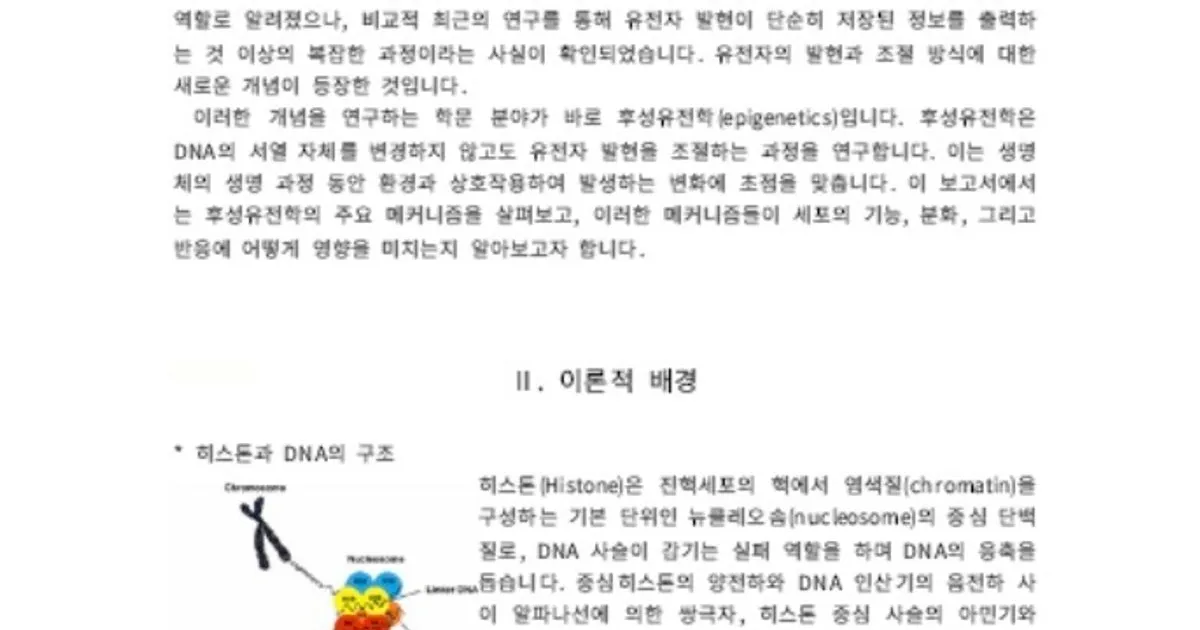 생기부 수정 보고서 김호종 숨고 숨은고수