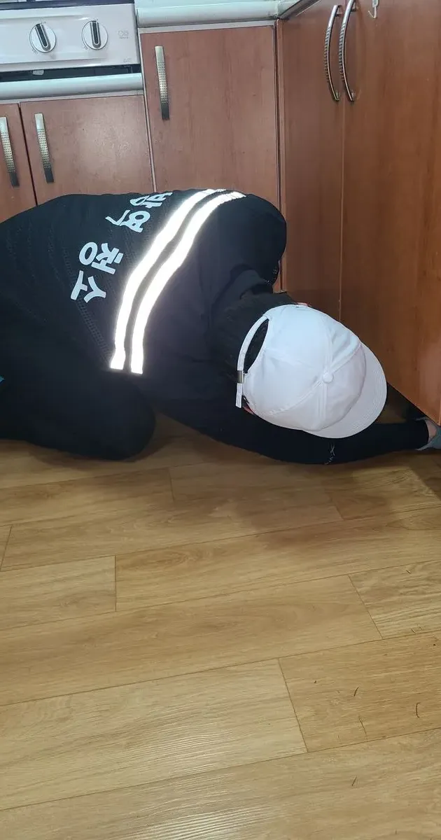 가정집 바퀴벌레 방제 박창희 숨고 숨은고수