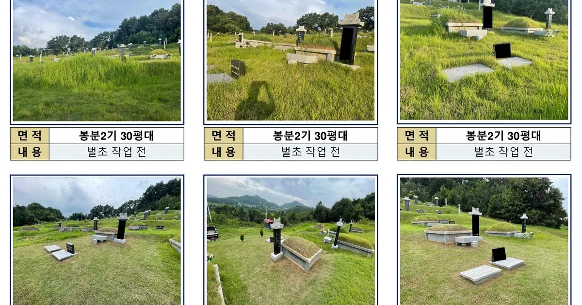 꼼꼼하고 깔끔한 벌초를 지향합니다 씨에스cs연구소 숨고 숨은고수