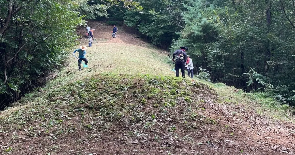가평 대보리 명화조경인천안성구리 사무소 숨고 숨은고수