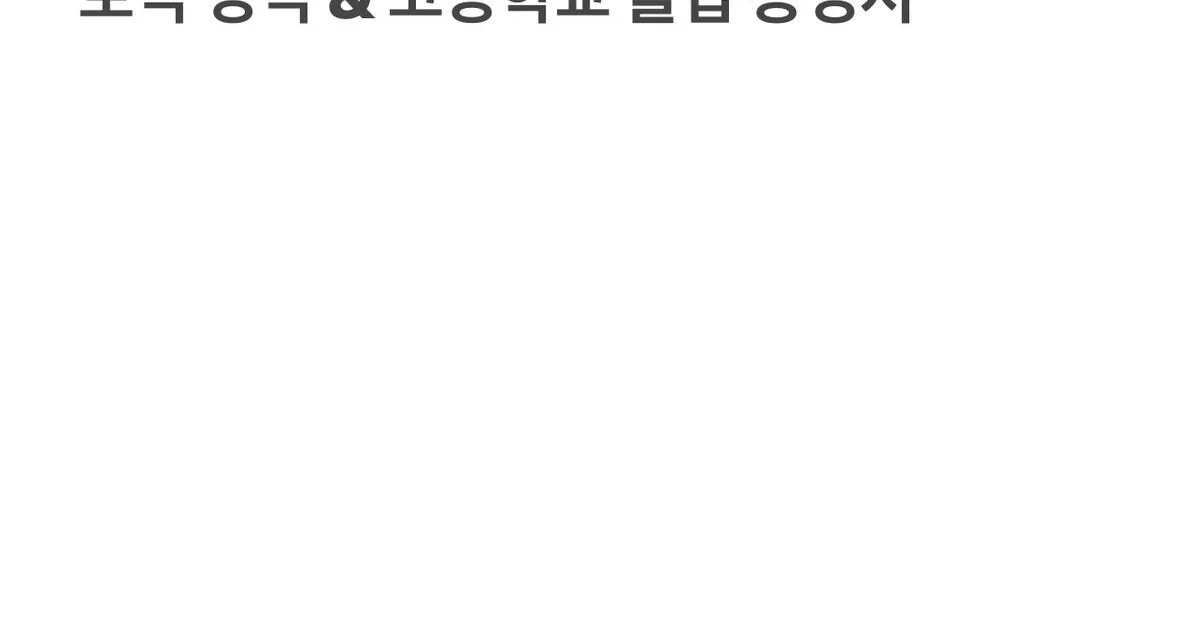 졸업 증명서 토익 점수 김민서 숨고 숨은고수