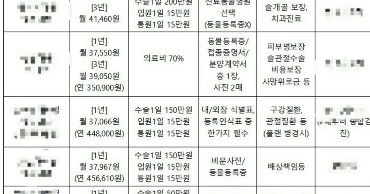 펫보험 안은정 숨고 숨은고수