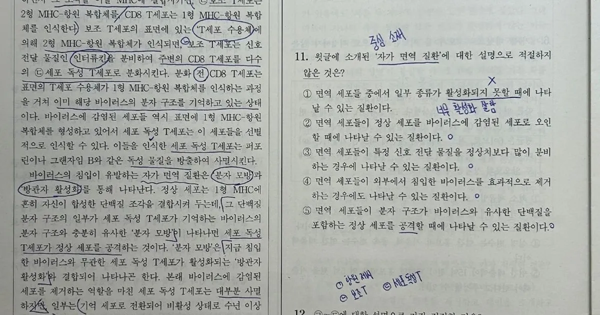 고등학교 국어 과외 지문 분석 예시 박재현 숨고 숨은고수