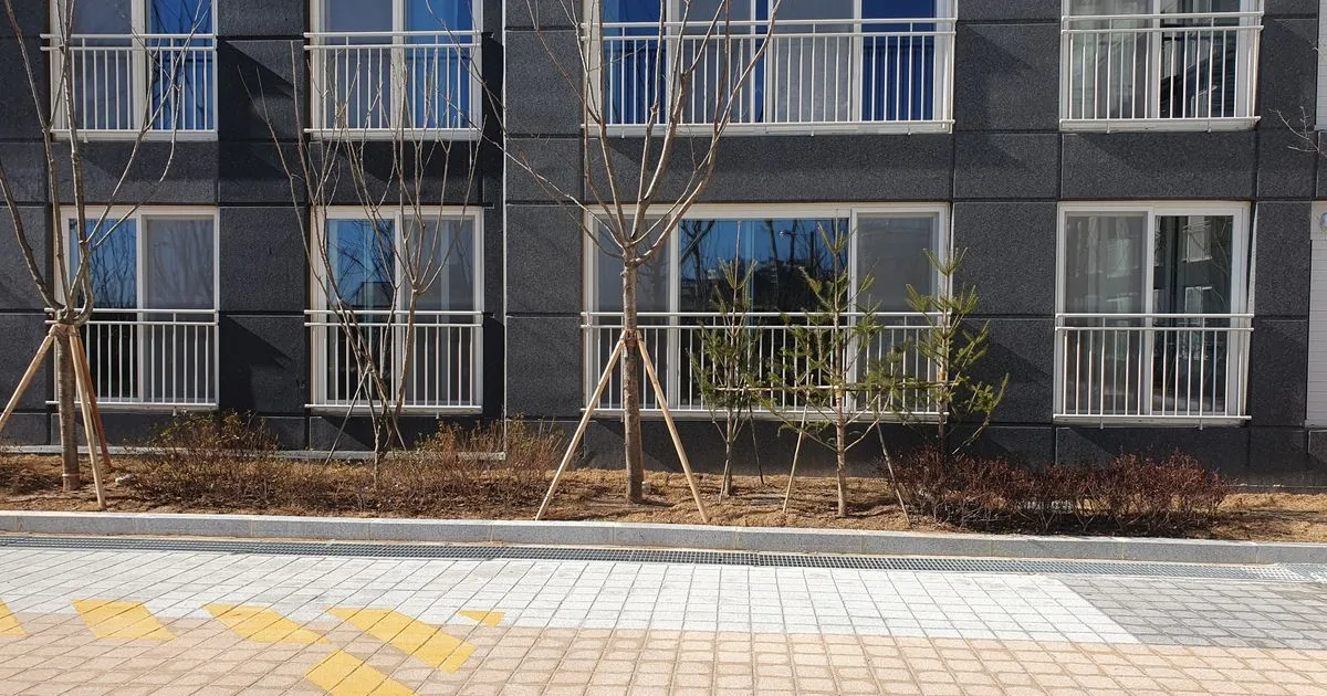홍성 승원펠리체 사생활보호 및 자외선차단 단열필름 바이저원도우필름 수원점 숨고 숨은고수