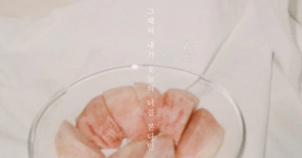 강다나 그때의 내가 오늘의 너를 본다면 강다나 숨고 숨은고수