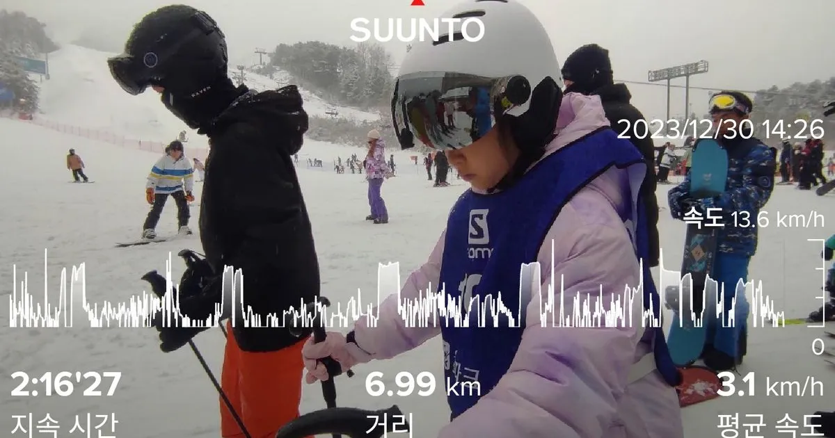 웰리힐리 스키 강습 Winter Buddy Philo Ski 환쌤 숨고 숨은고수