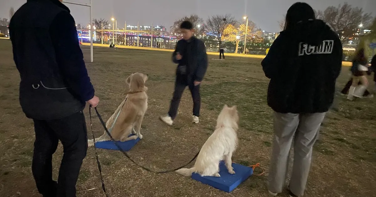 단체교육 김기일 숨고 숨은고수