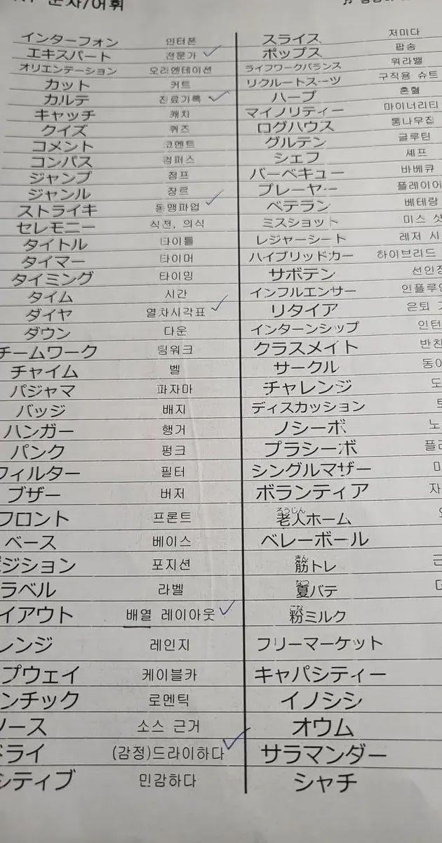 센스 있는 번역과 더빙 강시현 숨고 숨은고수