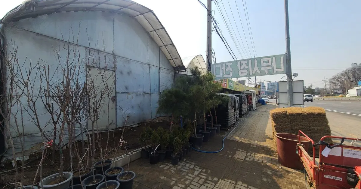 증여세 절감 목적의 감정평가 감정평가전문 숨고 숨은고수