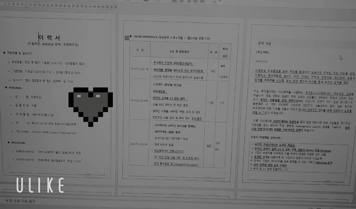 이력서 수정작업 자몽컨설팅 숨고 숨은고수