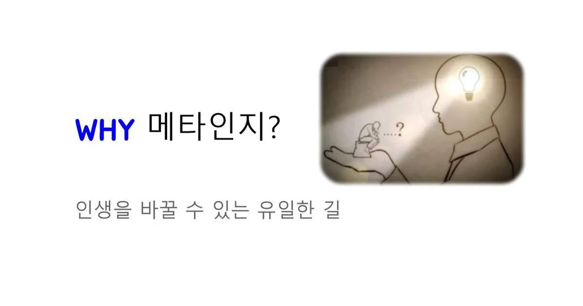 메타인지 김현겸 숨고 숨은고수