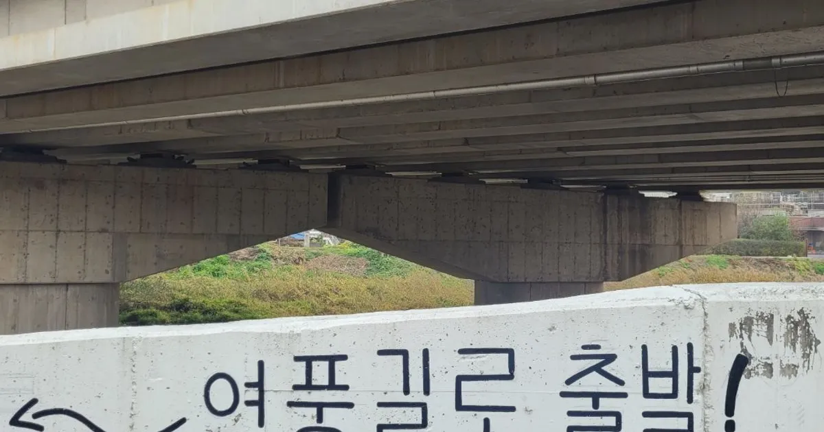 파주 연풍길 조성 뚝방길 에버 스튜디오 숨고 숨은고수