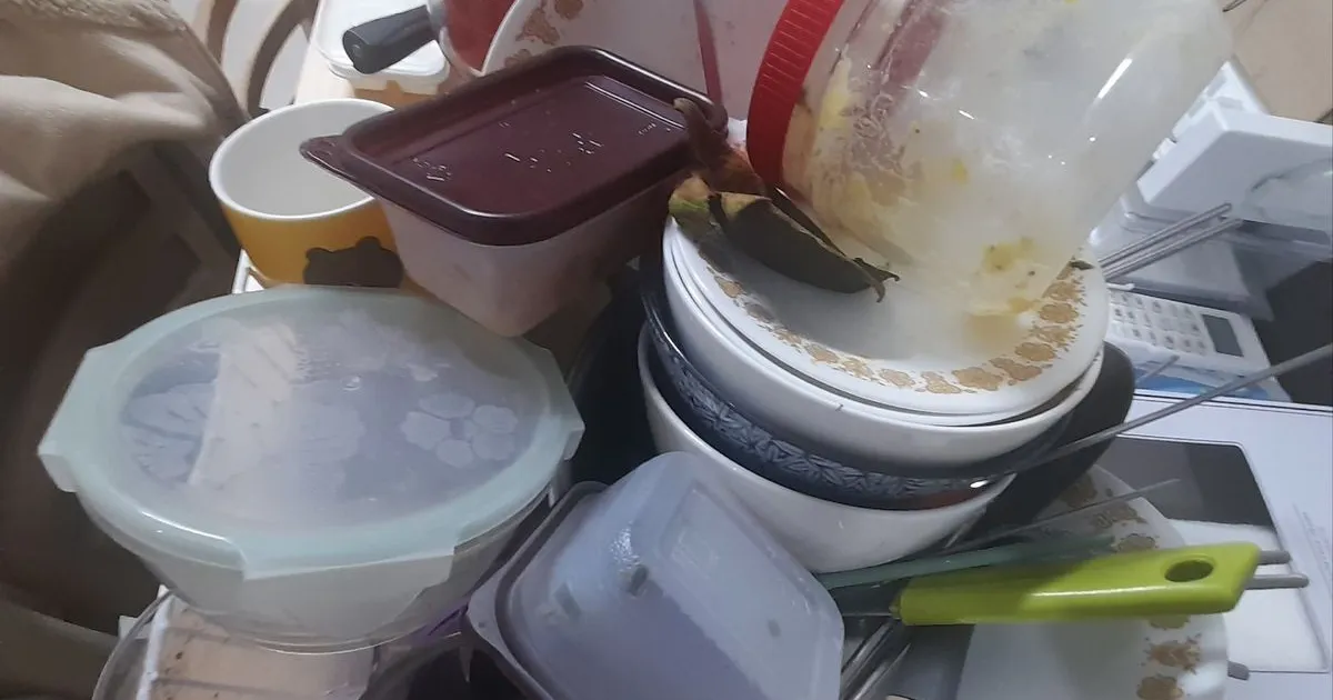 설거지하기 희야 숨고 숨은고수