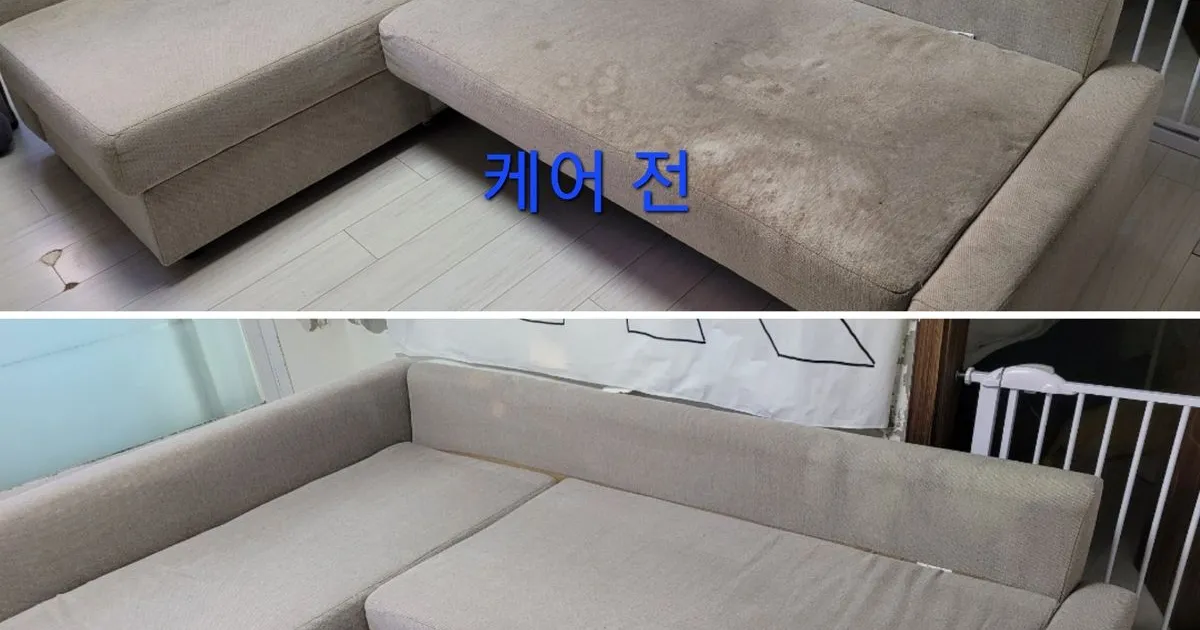 락스얼룩 강아지소변 찌든얼룩 그리고 토사얼룩 제거 매트클린닥터 숨고 숨은고수