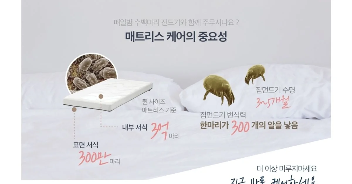 매트리스 케어 전후 비교 깔꼼 홈케어 숨고 숨은고수