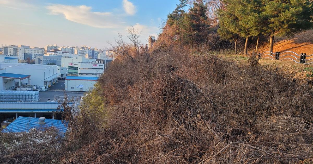 공장보강토 예초 마루조경 숨고 숨은고수