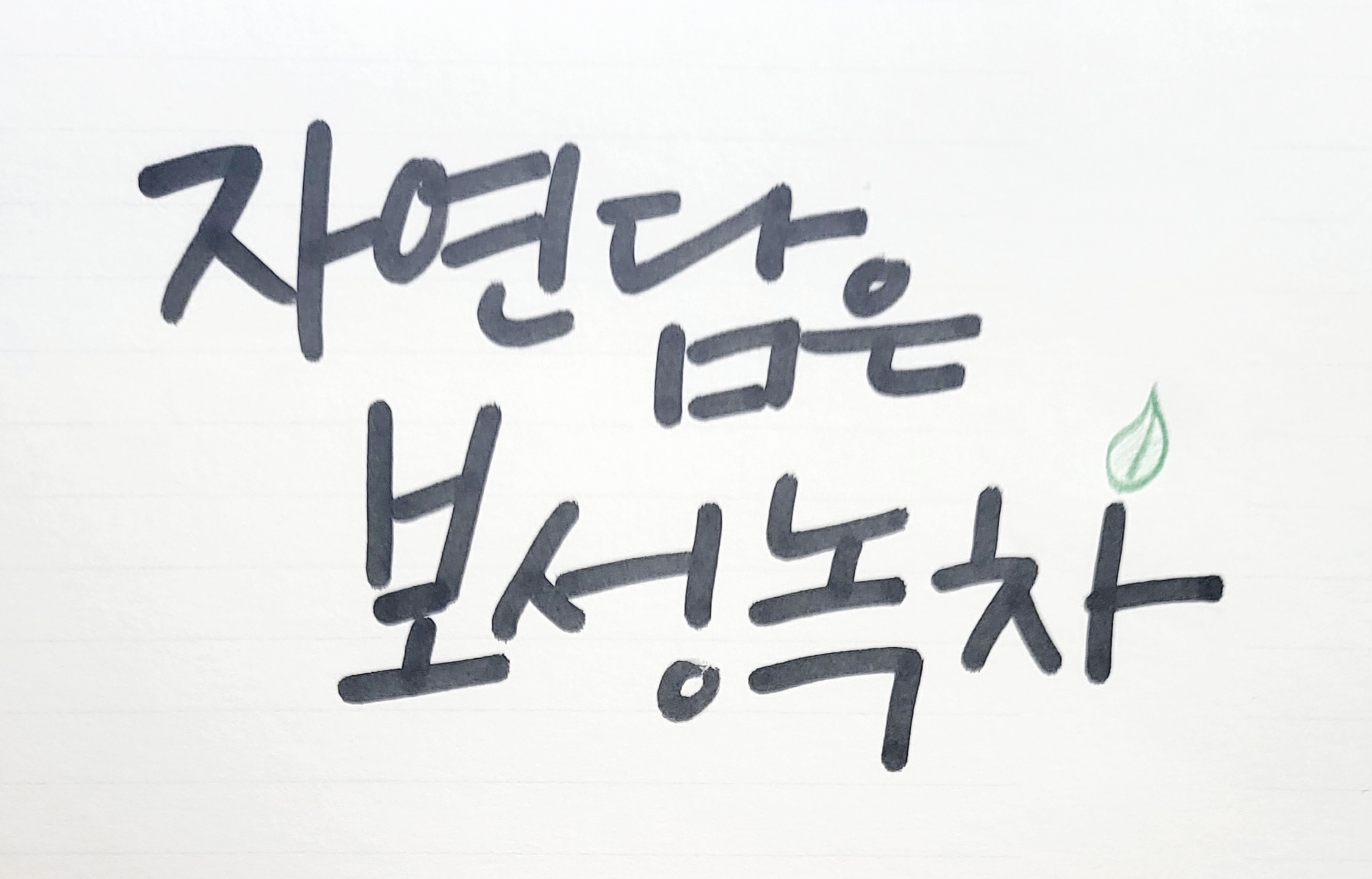 캘리그라피 로고 간판 상호 최은주 숨고 숨은고수