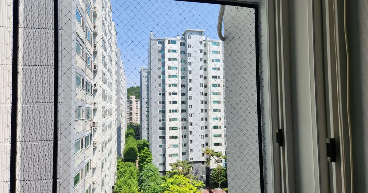 서울 강서구 비둘기퇴치 우장산 힐스테이트 실외기실 미션홈케어 숨고 숨은고수