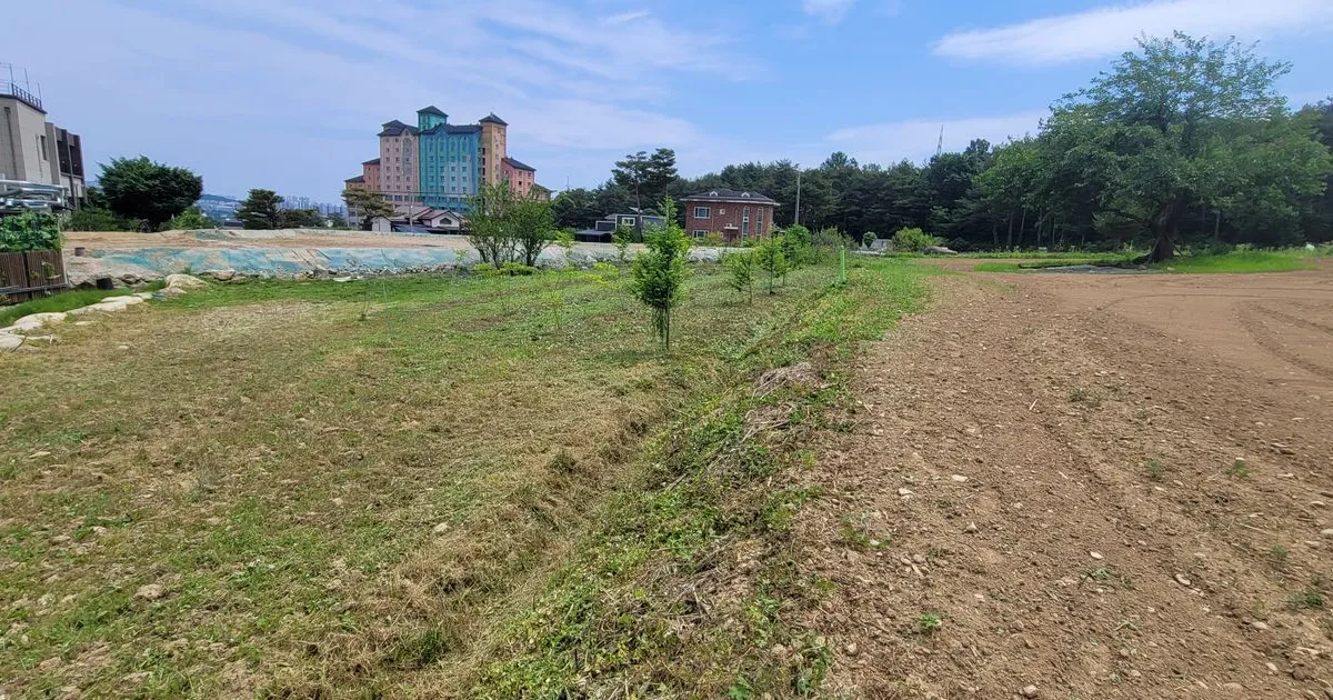 150평 과수원 예초및 제초제살포 풀깎는사람들 숨고 숨은고수