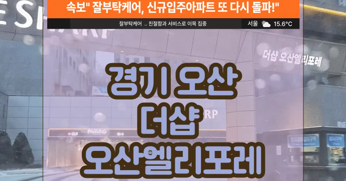 경기 오산 더샵 엘리포레 잘부탁케어 숨고 숨은고수