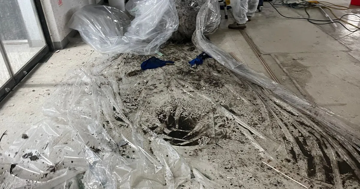 상가 하수배관 역류로 인한 철거복구탈취 작업 초록나무 해충 방제 서비스주거 환경관련 엔지니어링 숨고 숨은고수