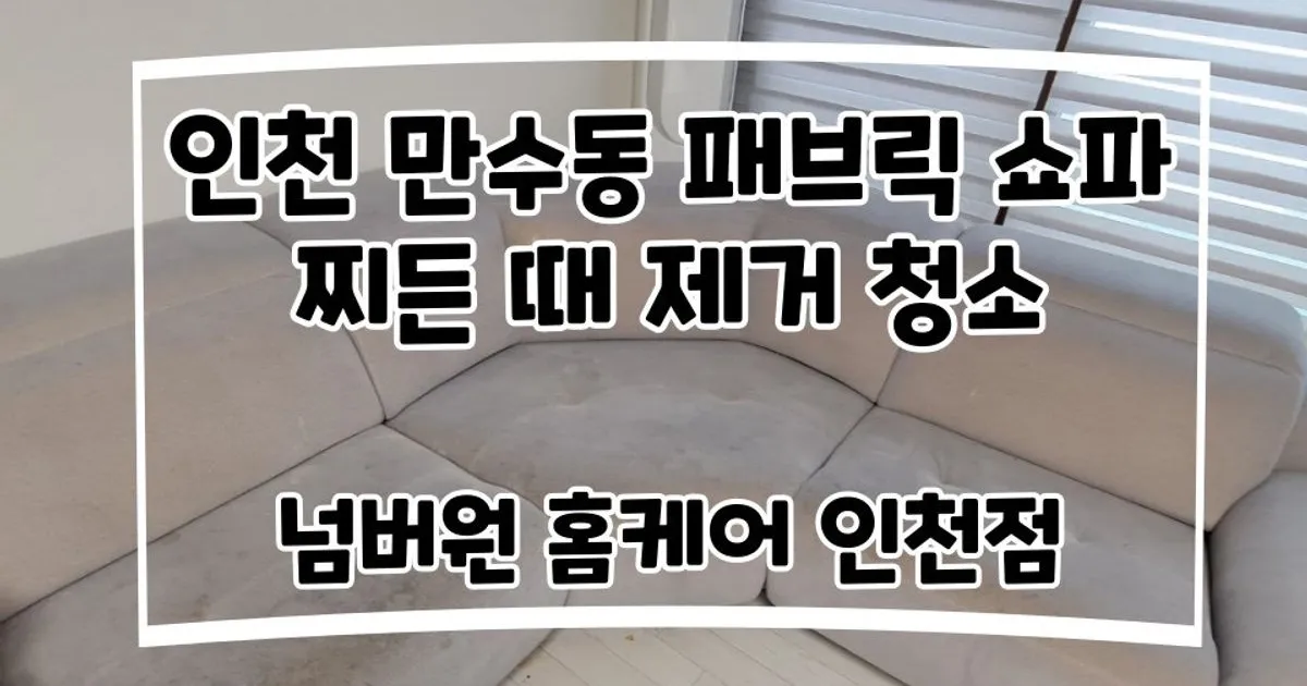 인천 남동구 만수동 패브릭 쇼파 찌든 때 얼룩 제거 넘버원홈케어 인천점 숨고 숨은고수