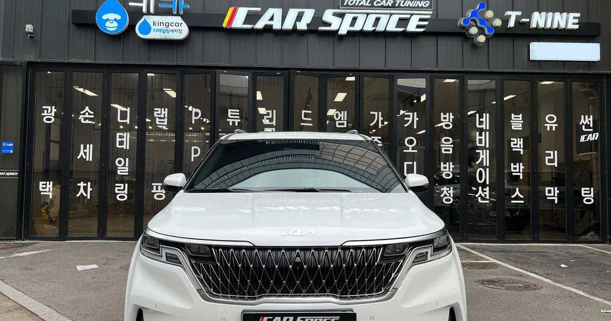 카니발 프리미엄패키지 브이쿨k 썬팅 양종군 숨고 숨은고수