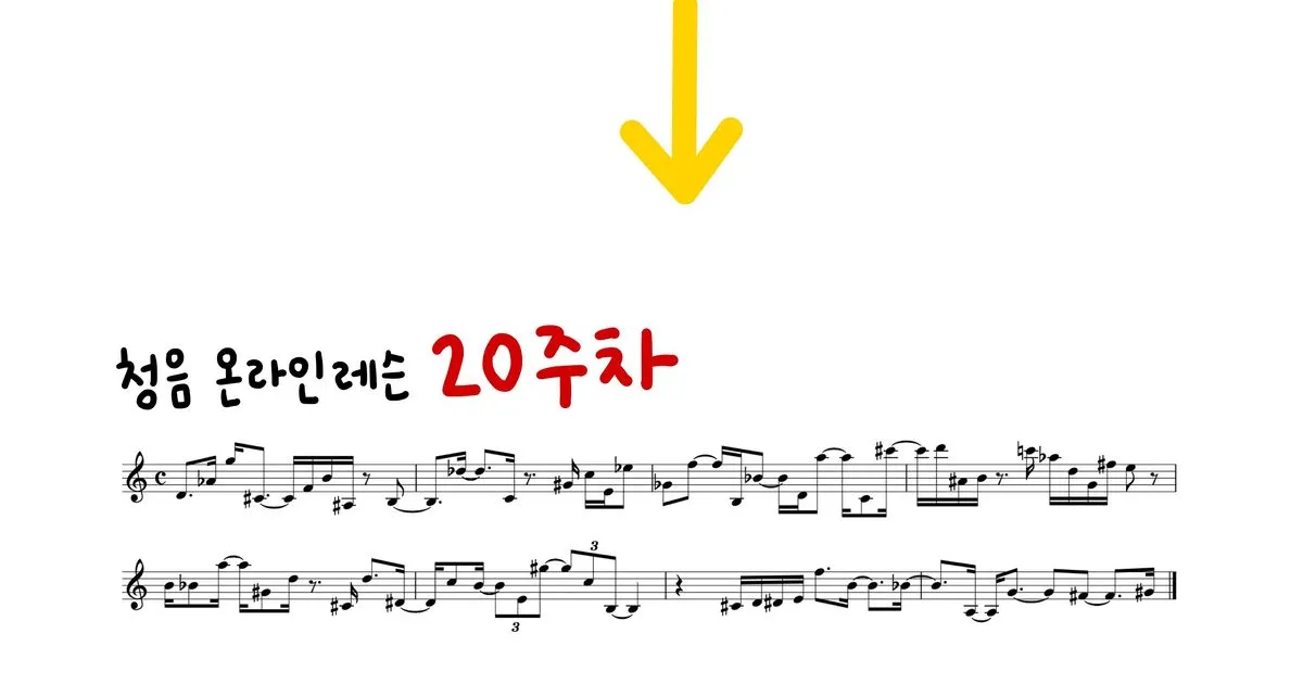 청음 온라인 레슨 20주차의 문제 변화 윤소희 숨고 숨은고수