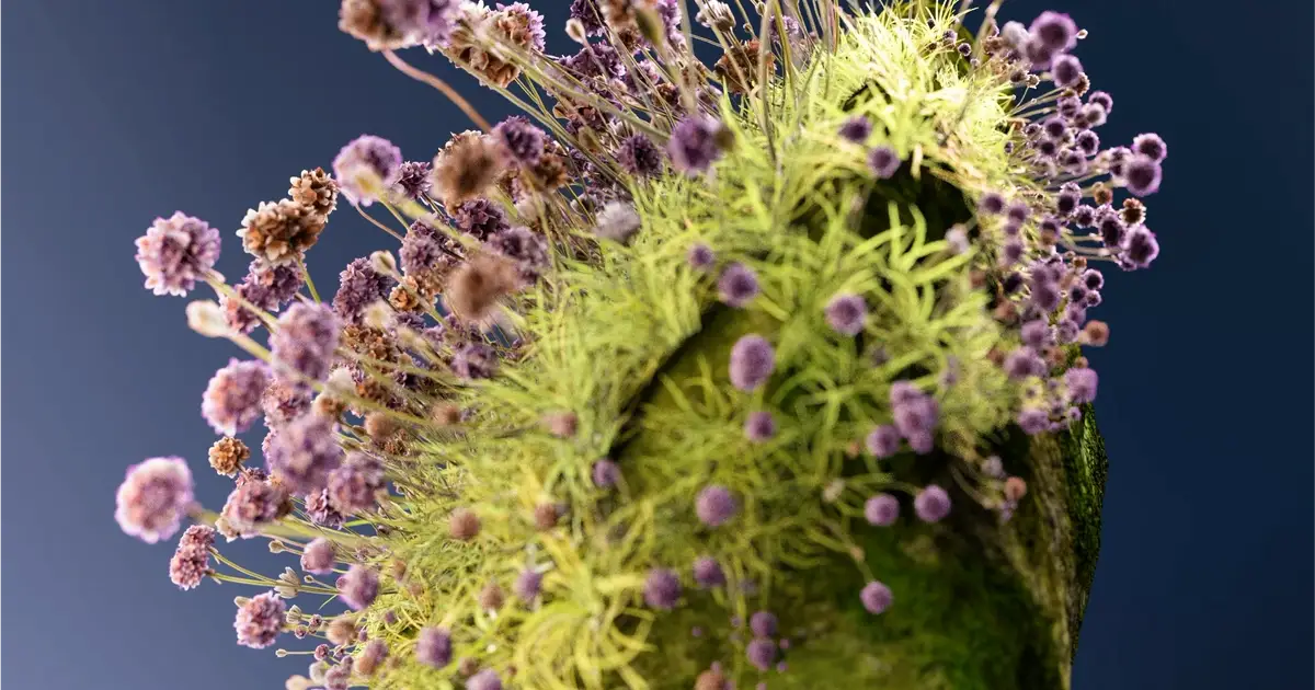 ee DAN promotion video / 영초이(Young Choe) 3D 디자이너 - 숨고, 숨은고수