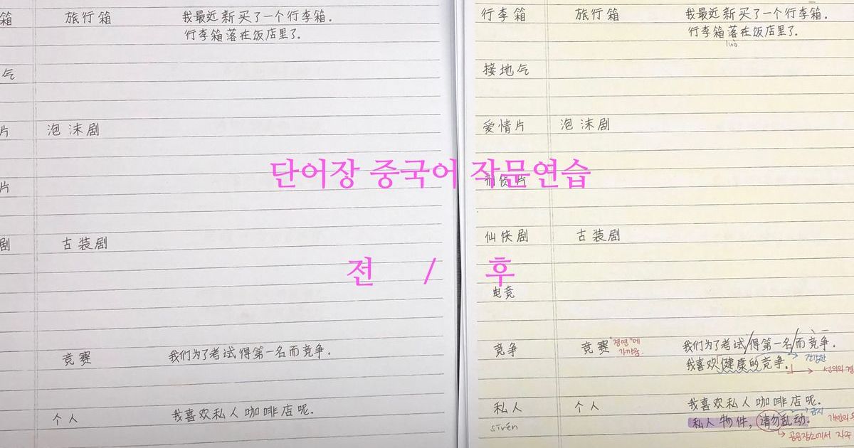원어민 중국어 개인 1대1 과외 위예림 숨고 숨은고수