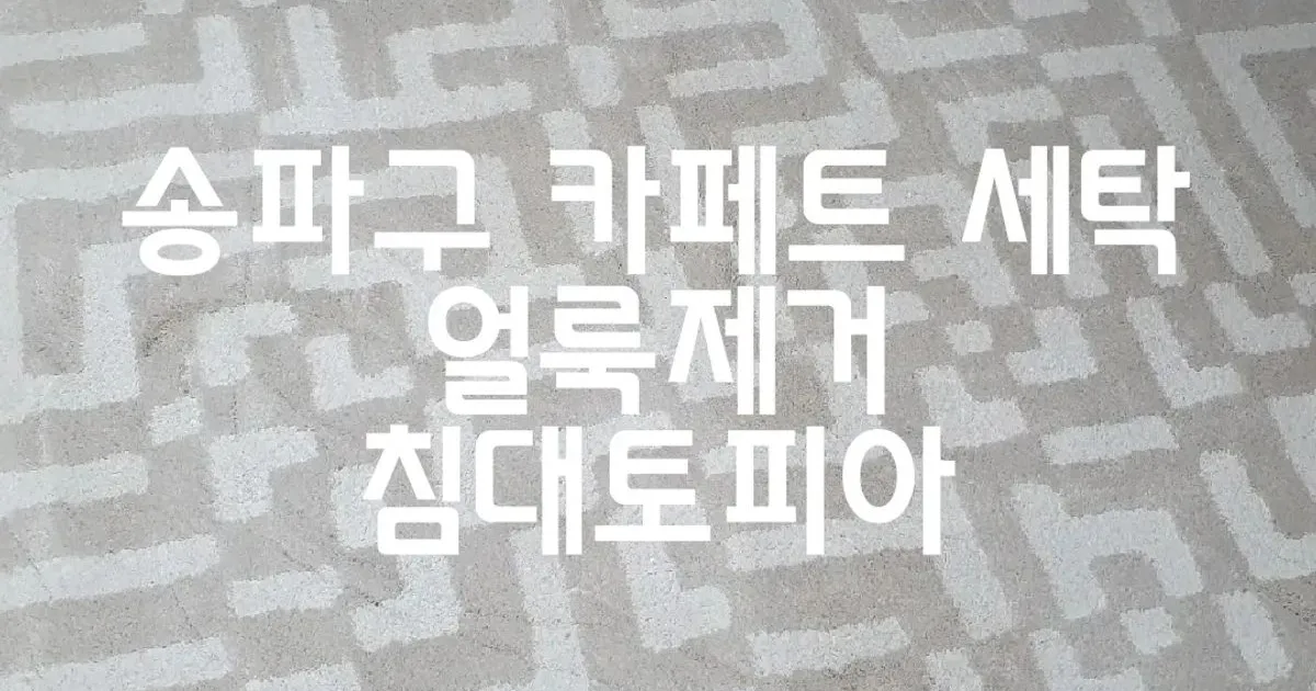 송파구 카페트 얼룩제거 침대토피아 서울동부점 숨고 숨은고수