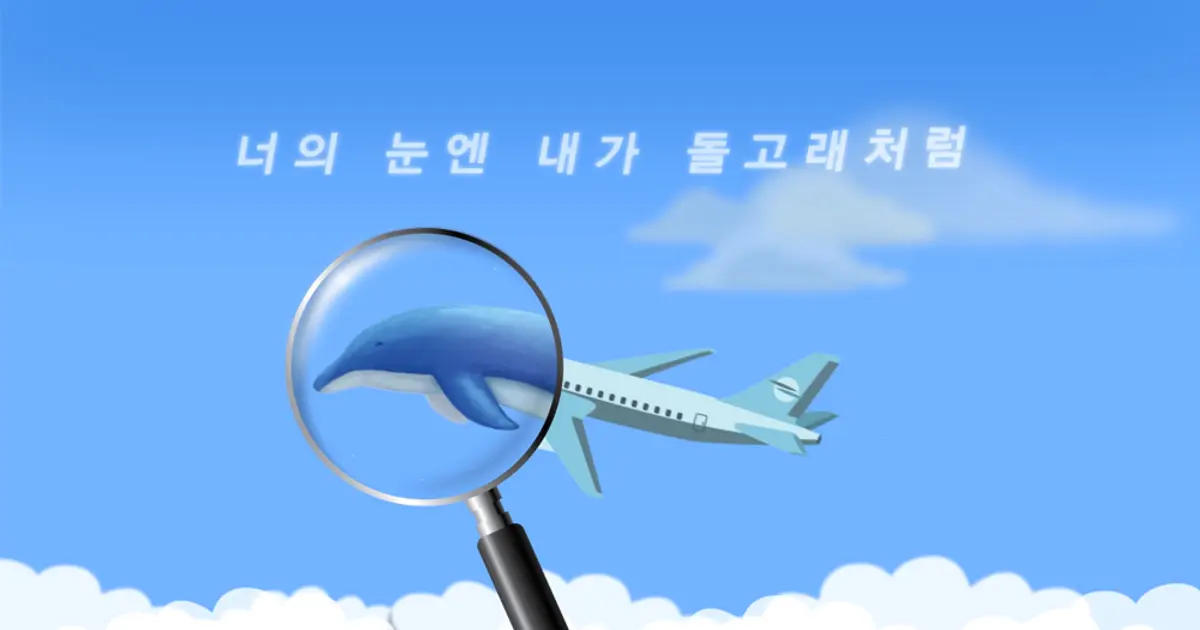 김하온 붕붕 키네틱타이포 모션그래픽 시오박 숨고 숨은고수